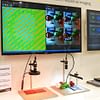 Polarized Camera Resource Center | LUCID Vision Labs