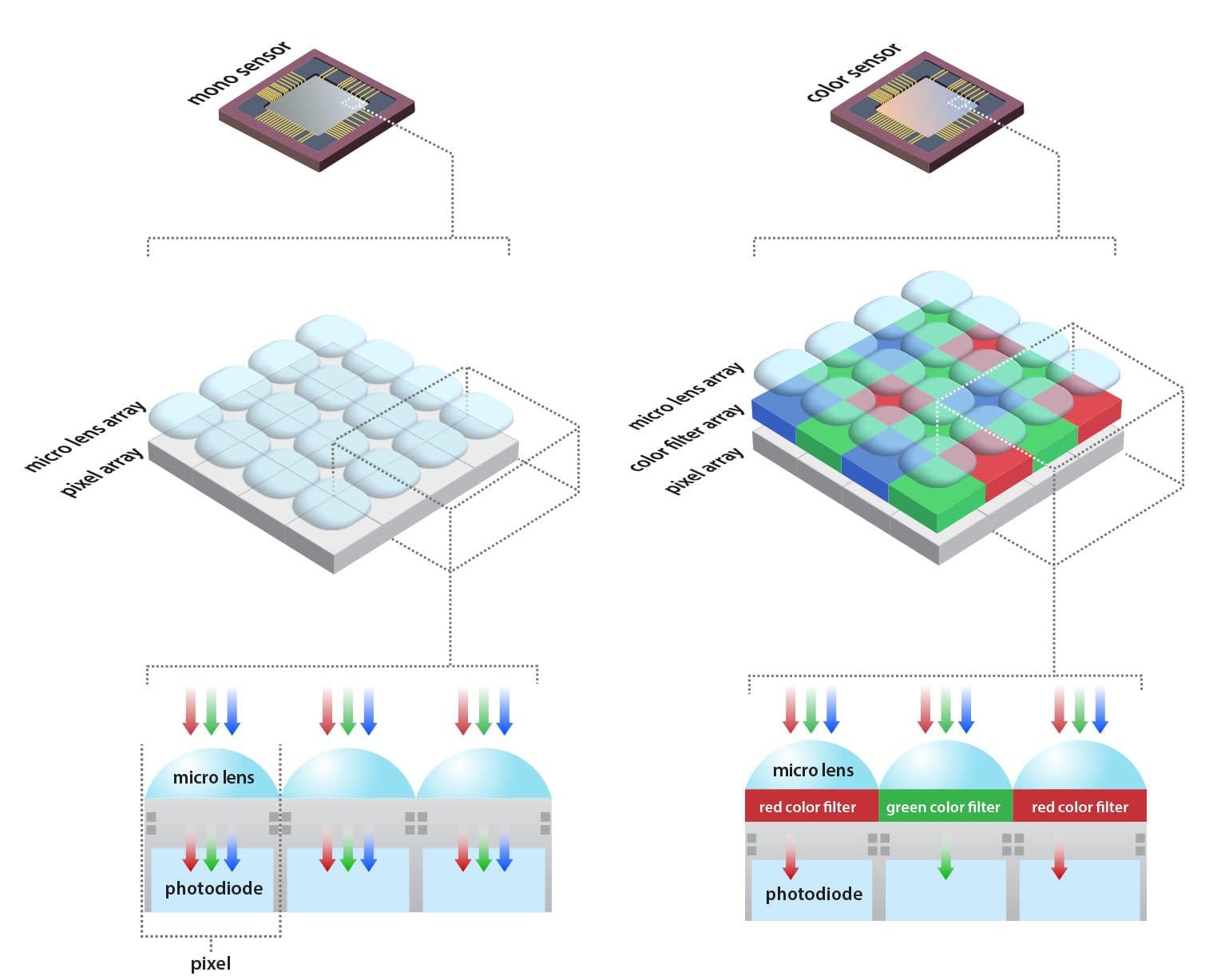 Understanding How the Digital Image Sensor Works - LUCID Vision Labs