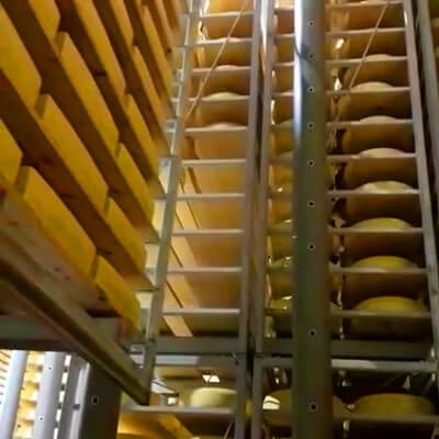Autonomous Forklifters Stack Cheese Boxes Using 3D Time-of-Flight ...